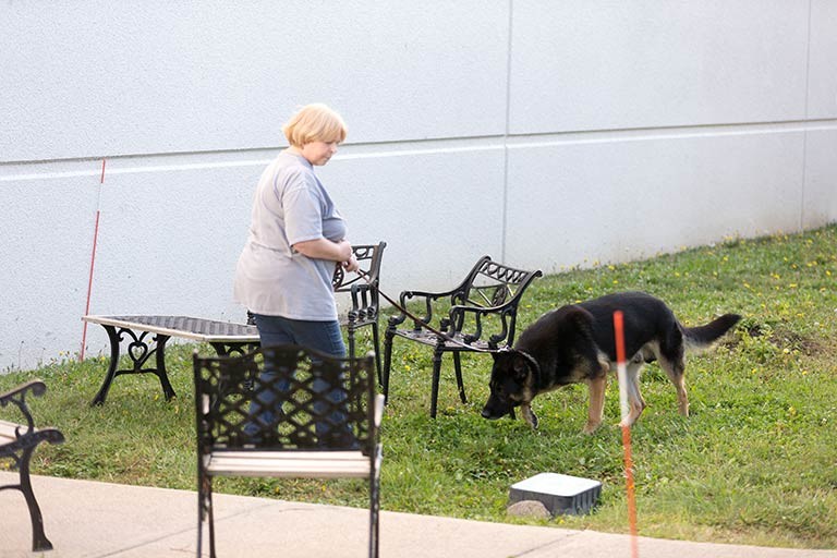 AKC Scent Work – American Kennel Club