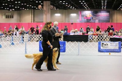 AKC Obedience Classic – American Kennel Club