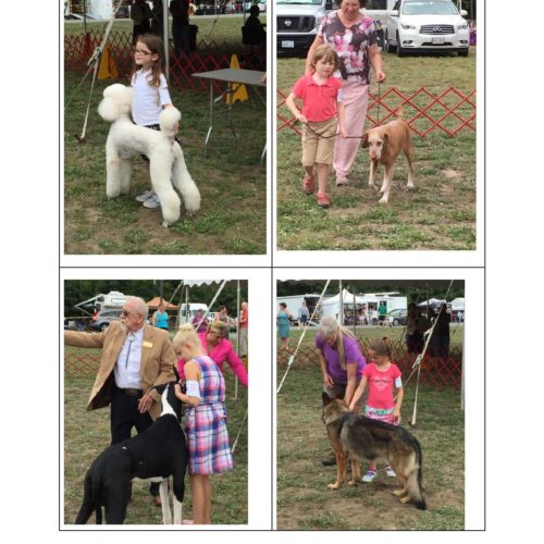 PeeWee Photo Page – American Kennel Club