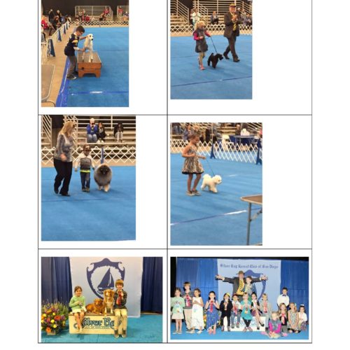 PeeWee Photo Page – American Kennel Club
