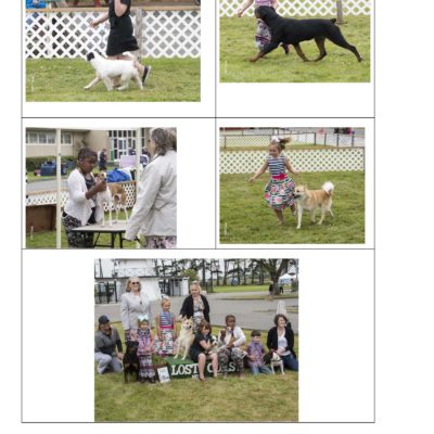 PeeWee Photo Page – American Kennel Club