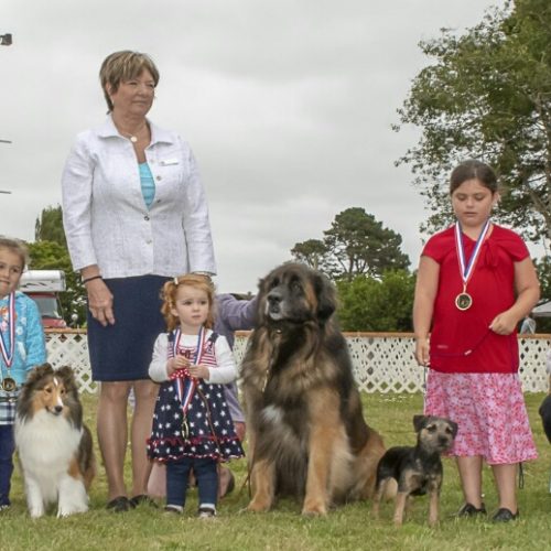 PeeWee Photo Page – American Kennel Club