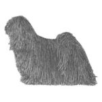 Puli Dog Breed Information