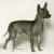 Xoloitzcuintli Dog Breed Information
