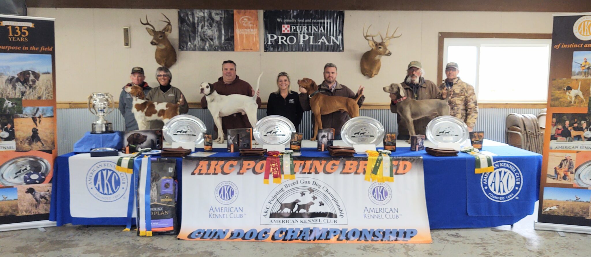 AKC Gun Dog Championships – American Kennel Club