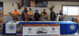 AKC Gun Dog Championships – American Kennel Club