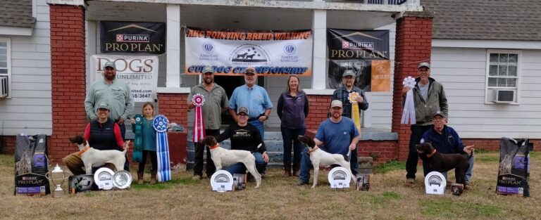 AKC Gun Dog Championships – American Kennel Club