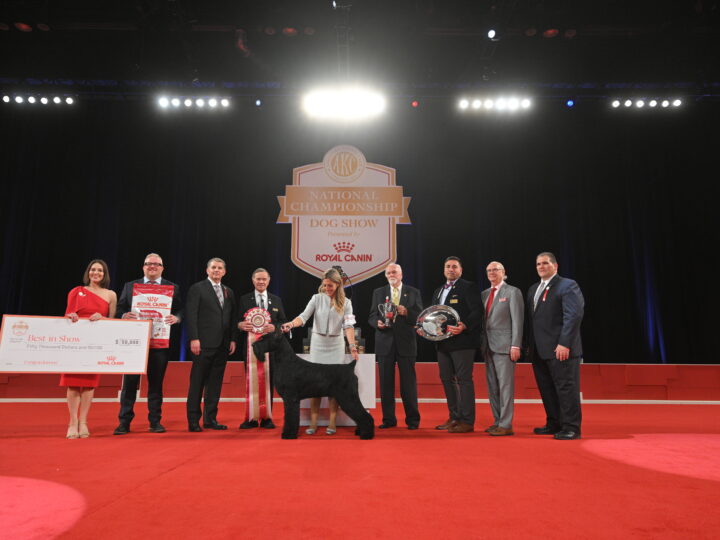AKC National Championship presented by Royal Canin – American Kennel Club