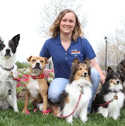 AKC GoodDog! Helpline Trainers – American Kennel Club