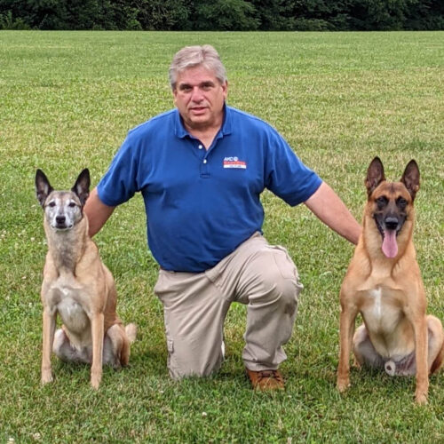 AKC GoodDog! Helpline Trainers – American Kennel Club