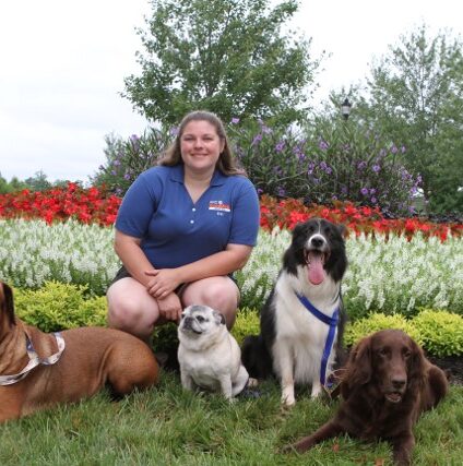 AKC GoodDog! Helpline Trainers – American Kennel Club