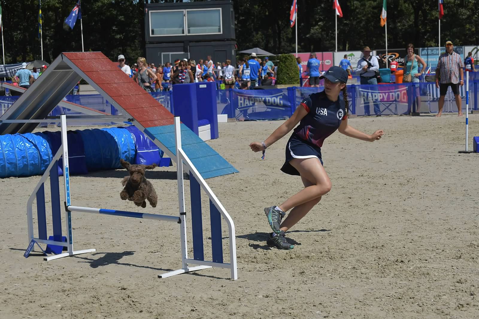Dog Sports & Agility Competitions: Canine Sport & Obedience