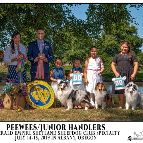PeeWee Photo Page – American Kennel Club