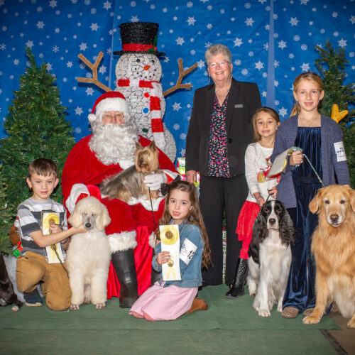 PeeWee Photo Page – American Kennel Club