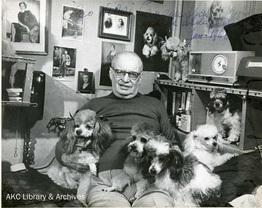 The Disappearance of Masterpiece the Poodle: Part 2