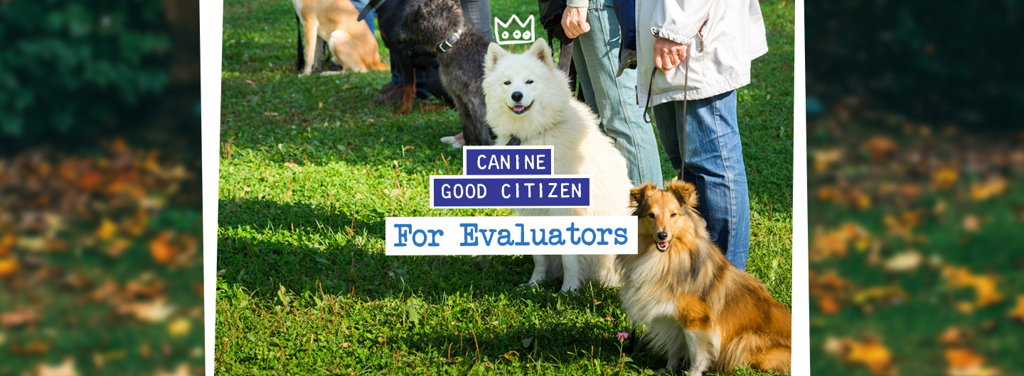For Evaluators – American Kennel Club