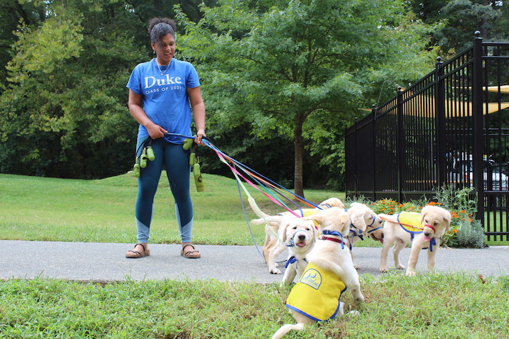 Service Dogs In School: Duke's Puppy Kindergarten Studies Socialization