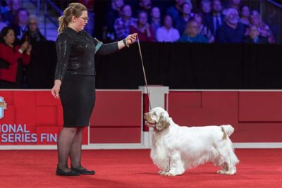 American Kennel Club 140th Anniversary: A Timeline Of AKC Dog History
