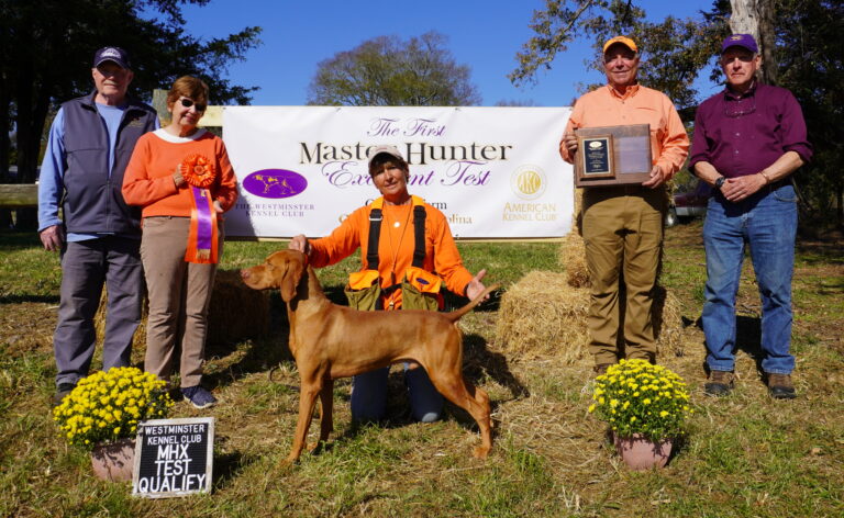 First Master Hunter Excellent Test – American Kennel Club