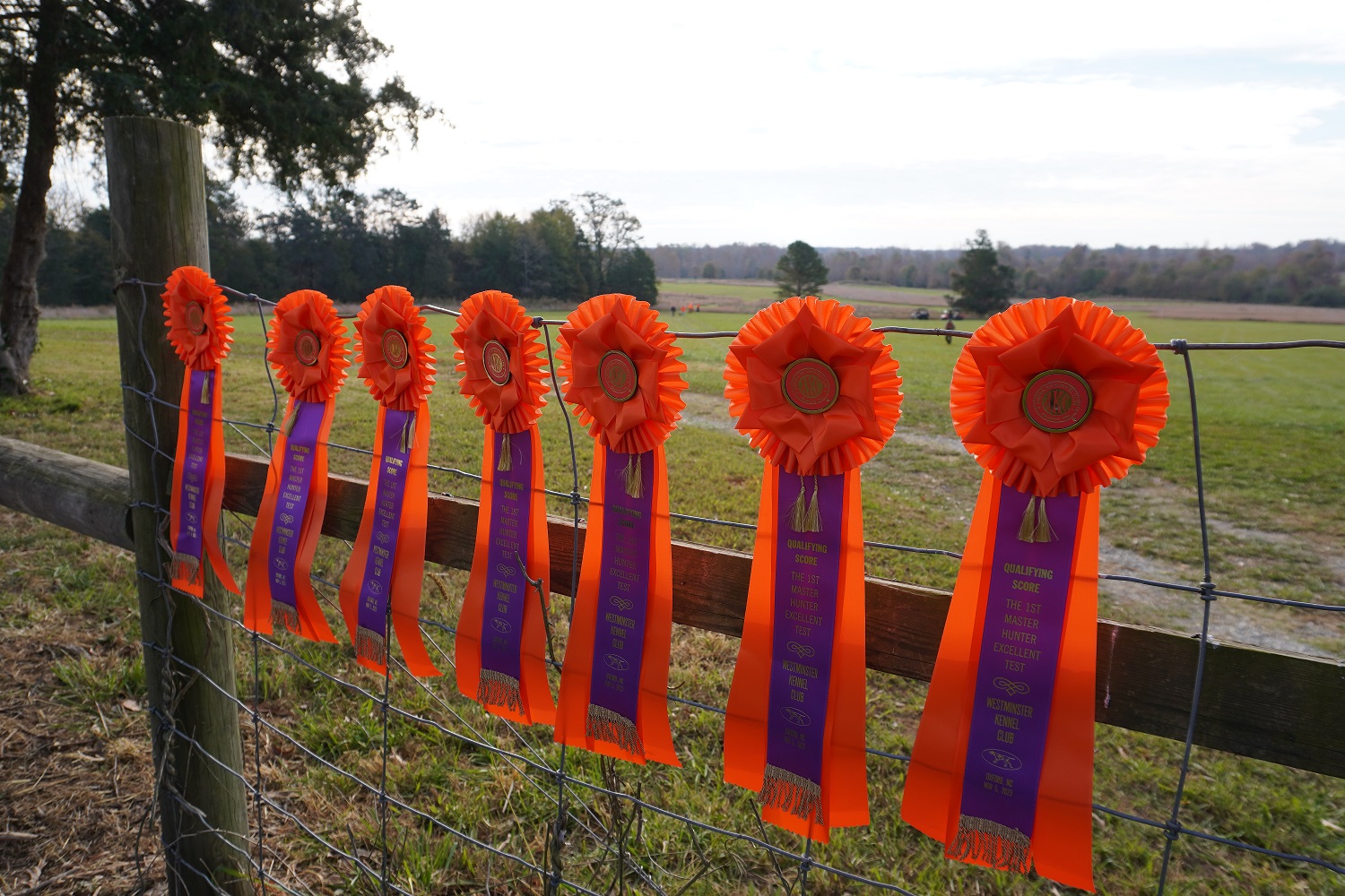 First Master Hunter Excellent Test – American Kennel Club