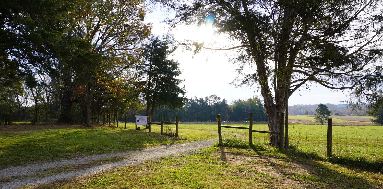 First Master Hunter Excellent Test – American Kennel Club