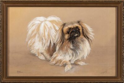 Best Dogs For Apartments – American Kennel Club