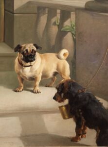 Best Dogs For Apartments – American Kennel Club