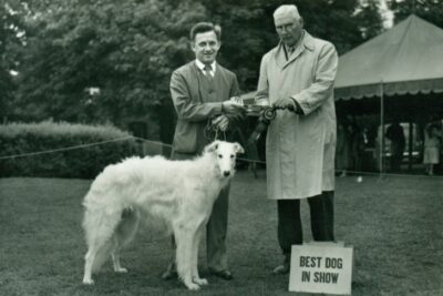 Borzoi History: Where the Breed Originated