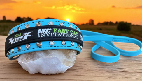 Fast CAT Invitational – American Kennel Club