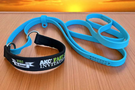 Fast CAT Invitational – American Kennel Club