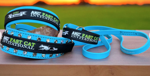 Fast CAT Invitational – American Kennel Club