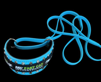 Fast CAT Invitational – American Kennel Club