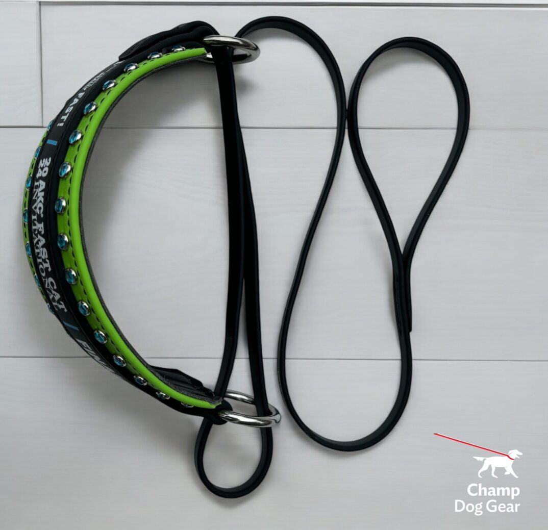 Fast CAT Invitational – American Kennel Club