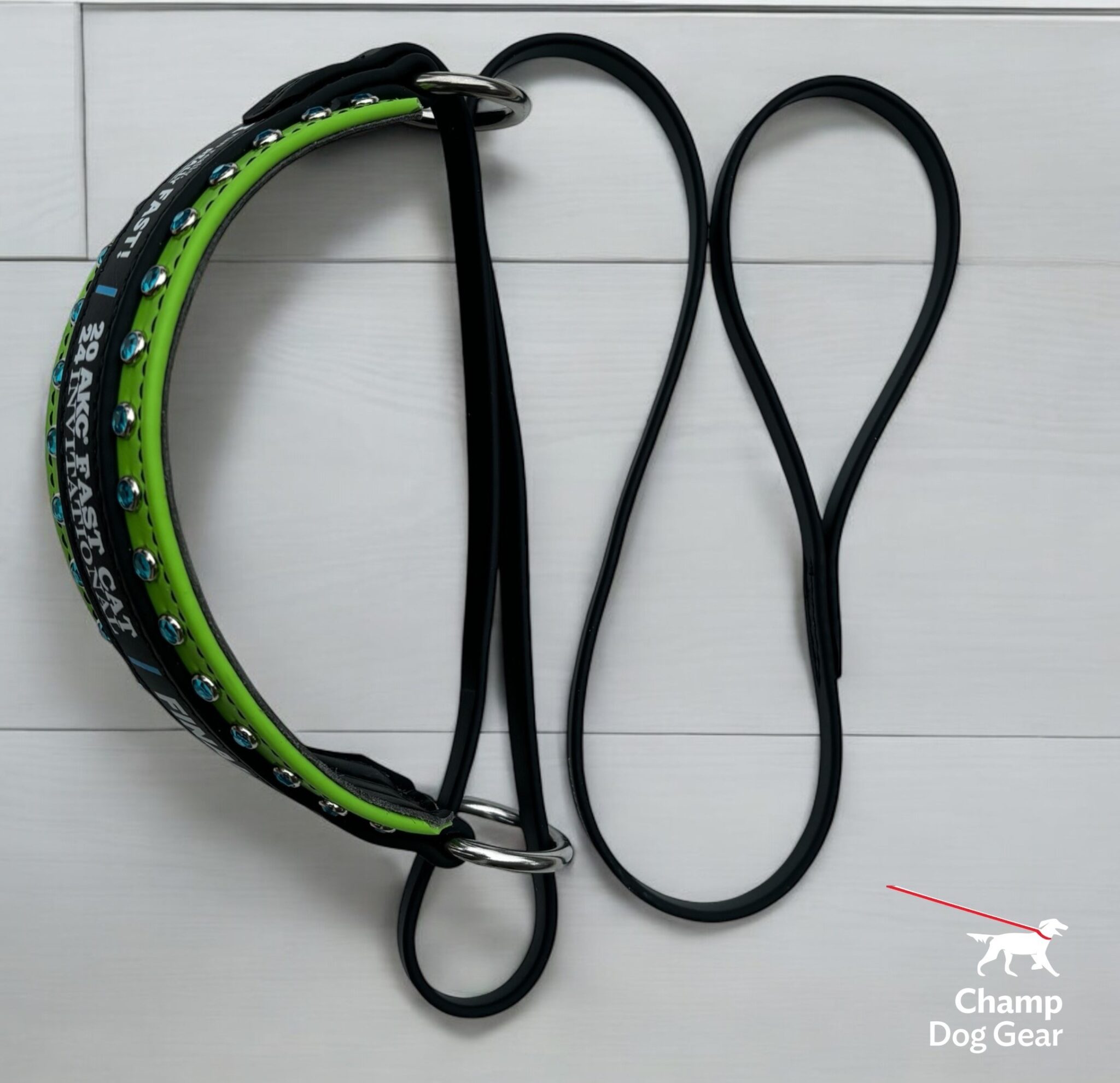 Fast CAT Invitational – American Kennel Club