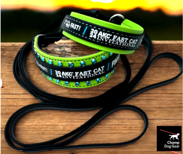 Fast CAT Invitational – American Kennel Club