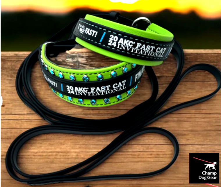 Fast CAT Invitational – American Kennel Club