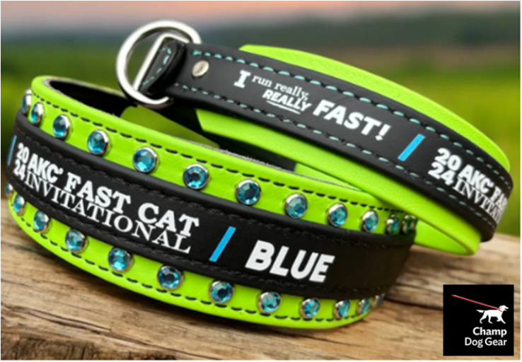 Fast CAT Invitational – American Kennel Club