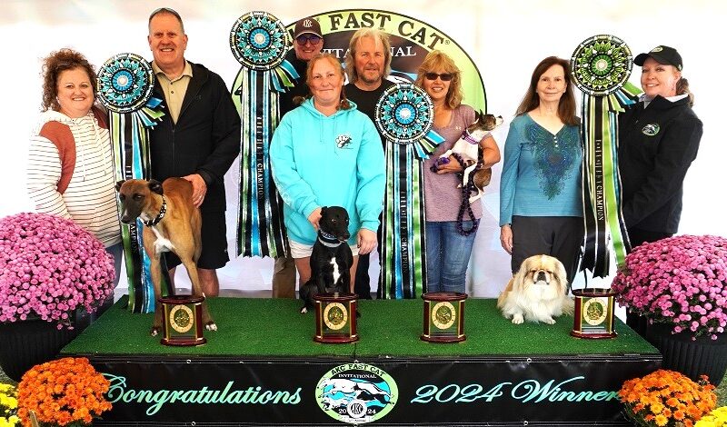 Fast CAT Invitational Past Photos – American Kennel Club