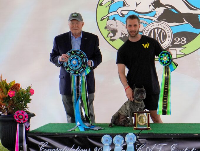 Fast CAT Invitational – American Kennel Club