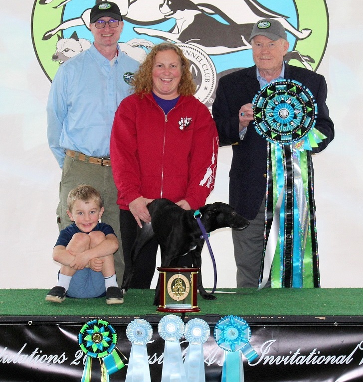 Fast CAT Invitational Past Photos – American Kennel Club