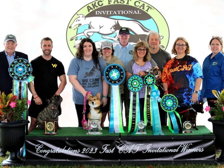Fast CAT Invitational – American Kennel Club