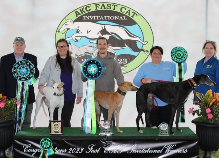 Fast CAT Invitational – American Kennel Club