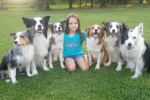 Dog Training: How to Train a Dog & Dog Obedience Training