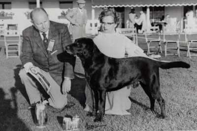 Labrador Retriever History: Where the Breed Originated