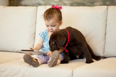 How to Help Your Dog Love Children – American Kennel Club
