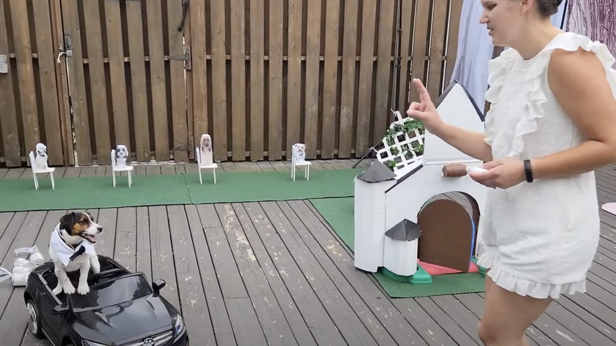 The 2023 Virtual Trick Dog Competition – American Kennel Club