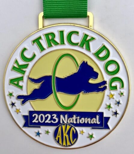 The 2024 Virtual Trick Dog Competition – American Kennel Club