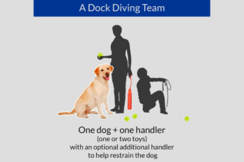 Diving Dogs 101: How to Compete in Dock Diving Step-By-Step