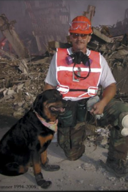 Dogs of 9/11: Canine Heroes That Were Invaluable in Times of Tragedy