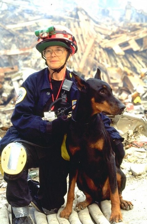 9/11 Dogs You've Probably Never Heard Of – American Kennel Club